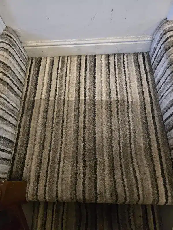 Professional Carpet Cleaning Farnworth: The Best Local Services